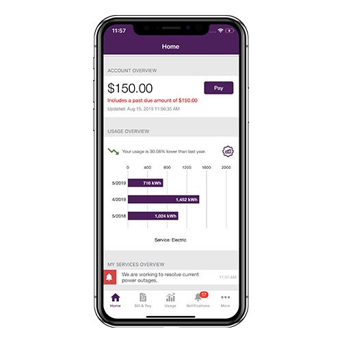 SmartHub Online Billpay - Datavision